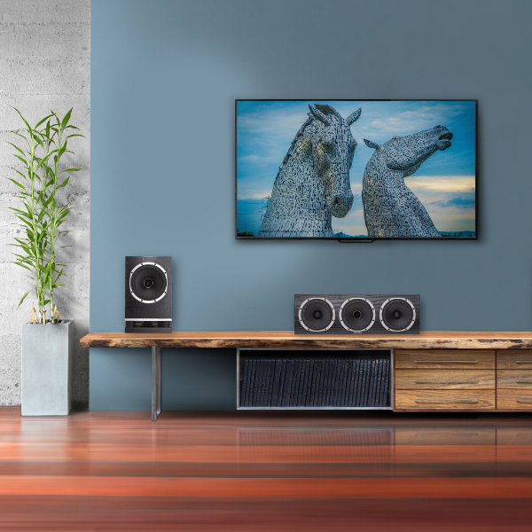 FYNE AUDIO F500C Black CANAL CENTRAL DE AUDIO HIFI